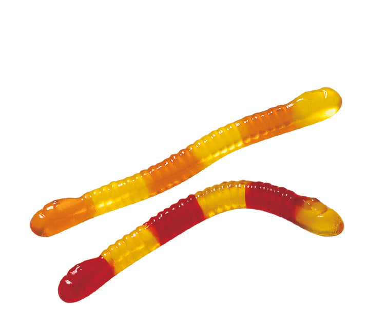 Vidal Two Headed Worms 1Kg – Tom's Confectionery Warehouse