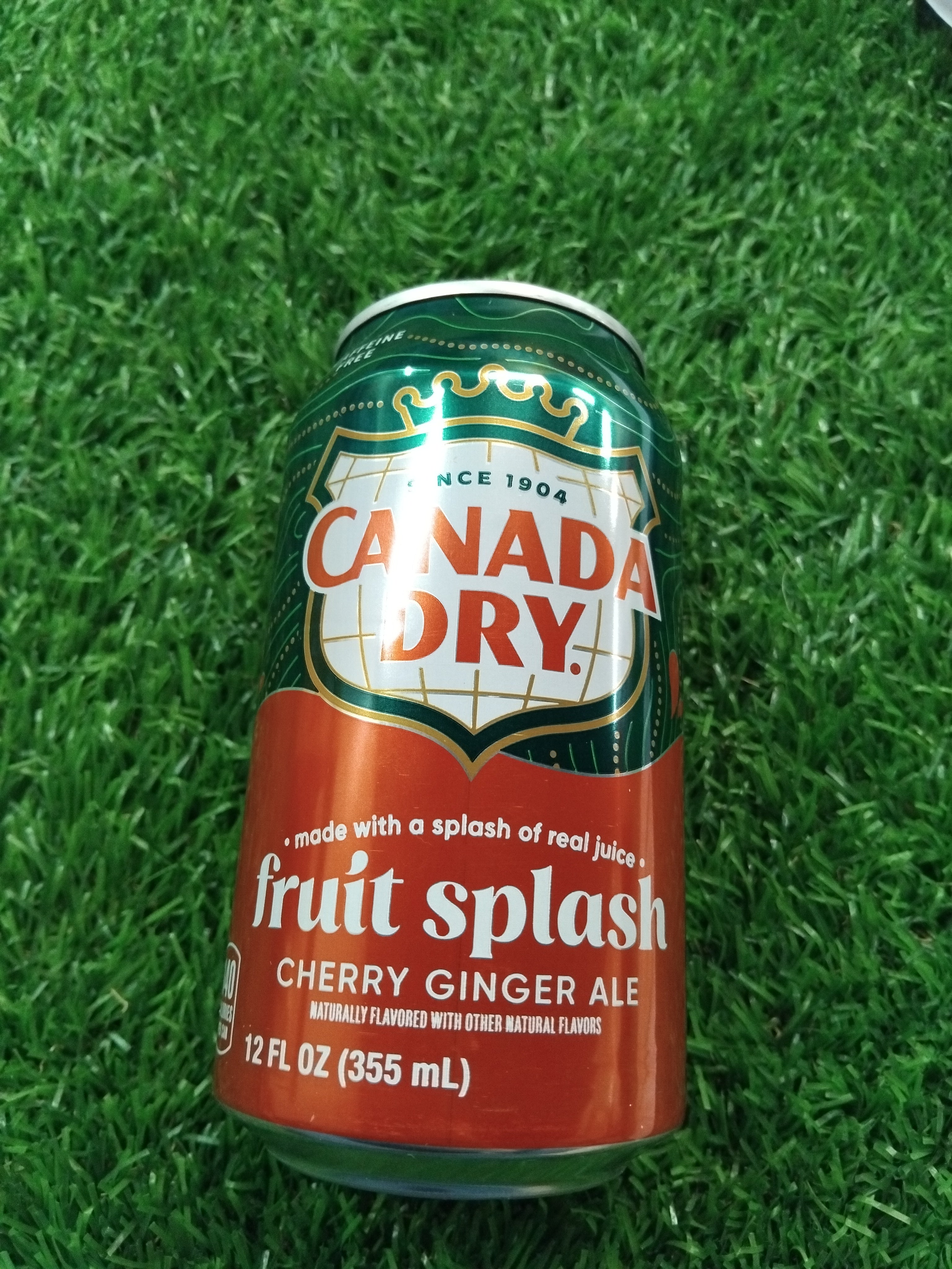 Canada dry fruit splash 355ml – Tom's Confectionery Warehouse